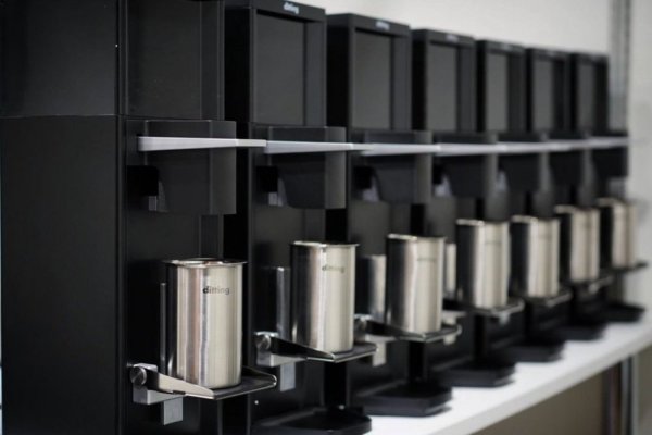 Ditting 1403 - molinillo de café profesional