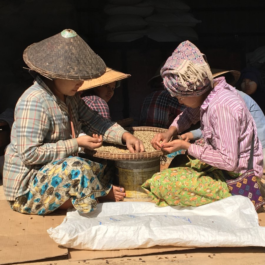 Roasted coffee | Myanmar Shwe Ywa Ngan | Omni roast - Packaging: 250 g