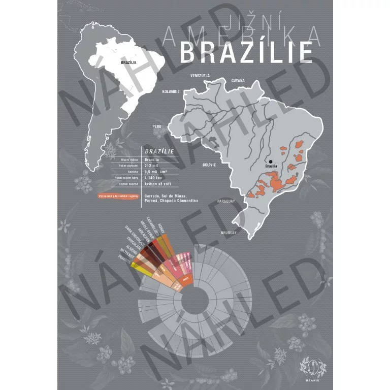 Beanie Brazil - poster A4