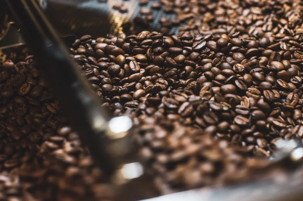 Tour of the roastery with the roaster